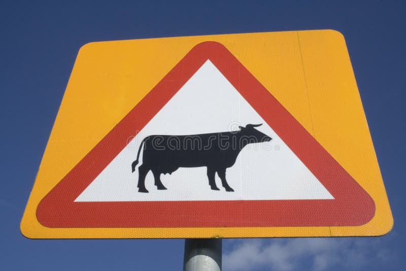 Cows Crossing Road Sign Picture. Image: 5357861