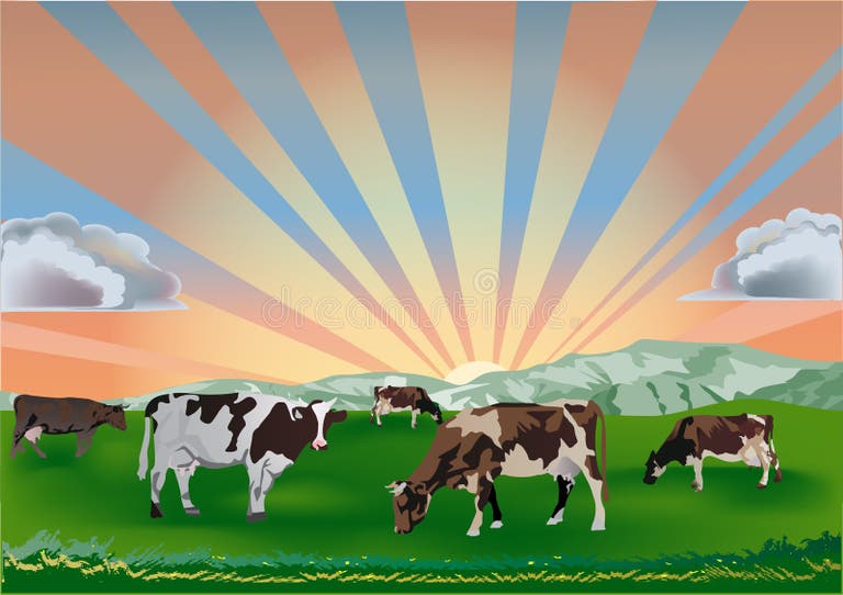 Cattle Cows Field Stock Illustrations – 7,500 Cattle Cows Field Stock ...