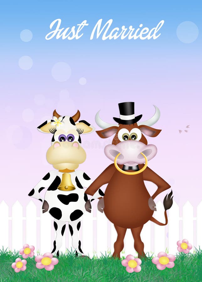 Wedding of cows stock illustration. Illustration of nature - 37212380