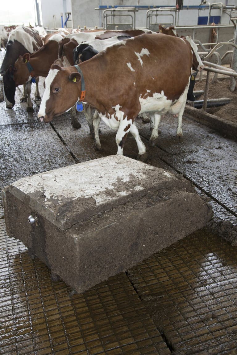 164 Robot Stable Stock Photos - Free & Royalty-Free Stock Photos from ...