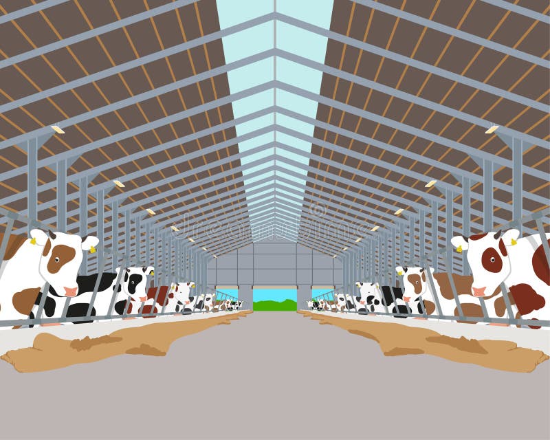 Cowshed stock vector. Illustration of dairy, beef, flat - 68895415