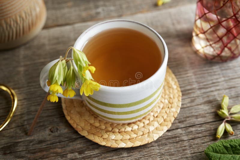 Cowslip Tea with Fresh Primula Flowers in Spring Stock Photo - Image of ...