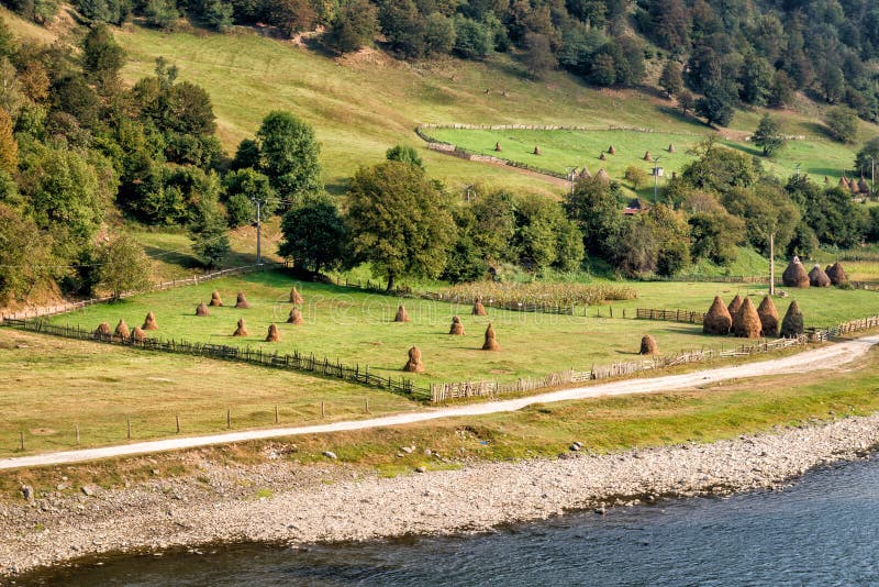 Cozia National Park in Romania Stock Photo - Image of birds, ecological ...