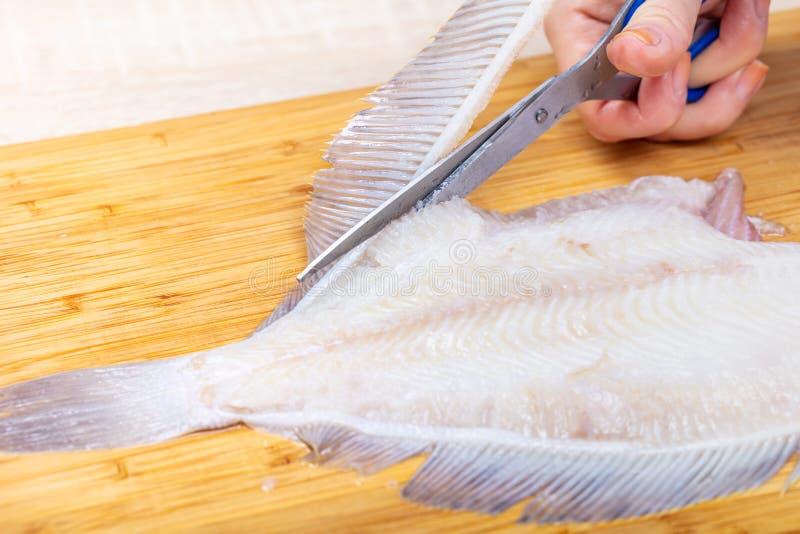 Cozinhe O Corte Da Solha Dos Peixes Imagem de Stock - Imagem de inteiro ...