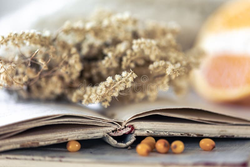333 Open Book Poems Stock Photos - Free & Royalty-Free Stock Photos ...