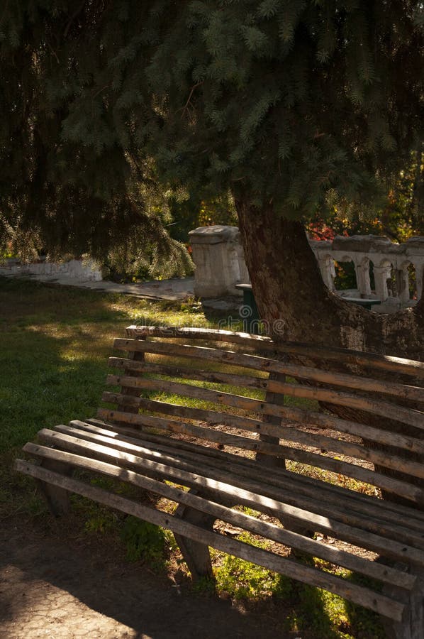 A cozy bench in the square stock image. Image of trees - 231651435