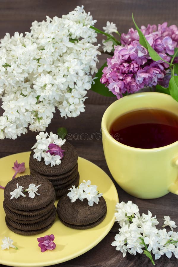 Cozy Chocolate Chip Cookie Tea Party Photo Stock Image - Image of bloom, round: 253407799