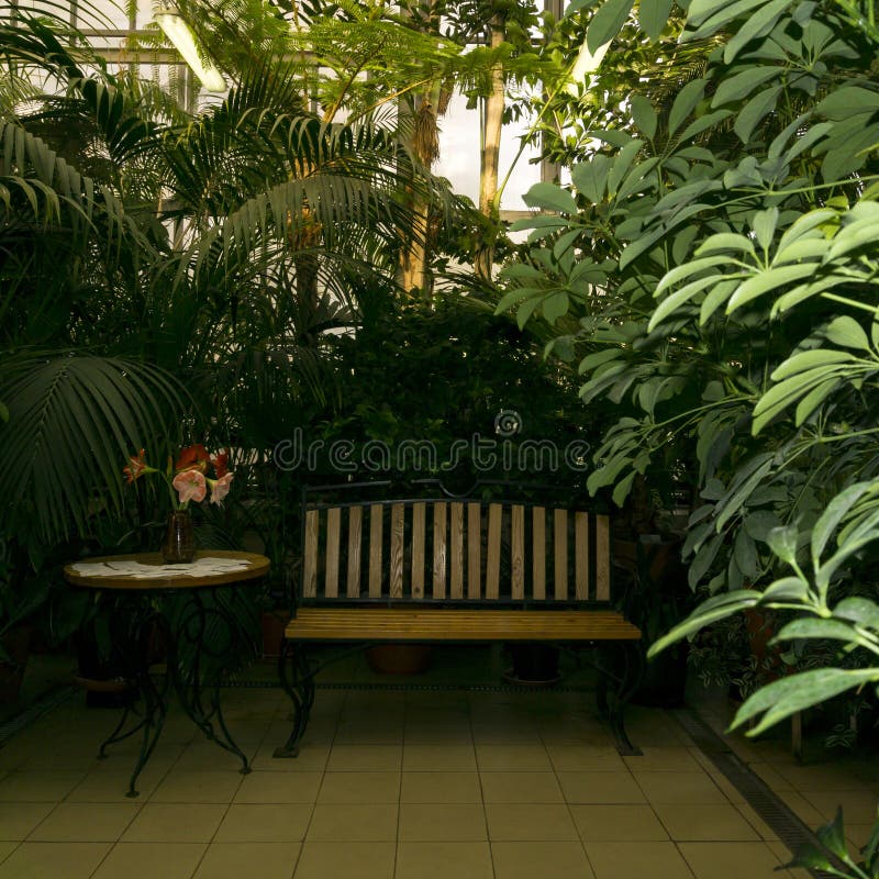Cozy Corner in the Conservatory Stock Photo - Image of flowering ...