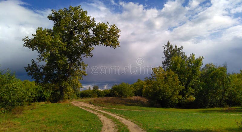 Cozy Corner with Trees and Sky Stock Image - Image of autumn, green ...