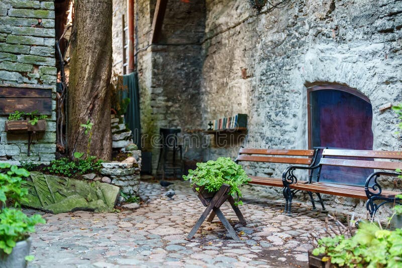 Cozy courtyard stock image. Image of beautiful, decoration - 238947155