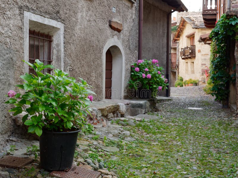A Cozy Courtyard with a Lawn of an Italian House Stock Image - Image of ...