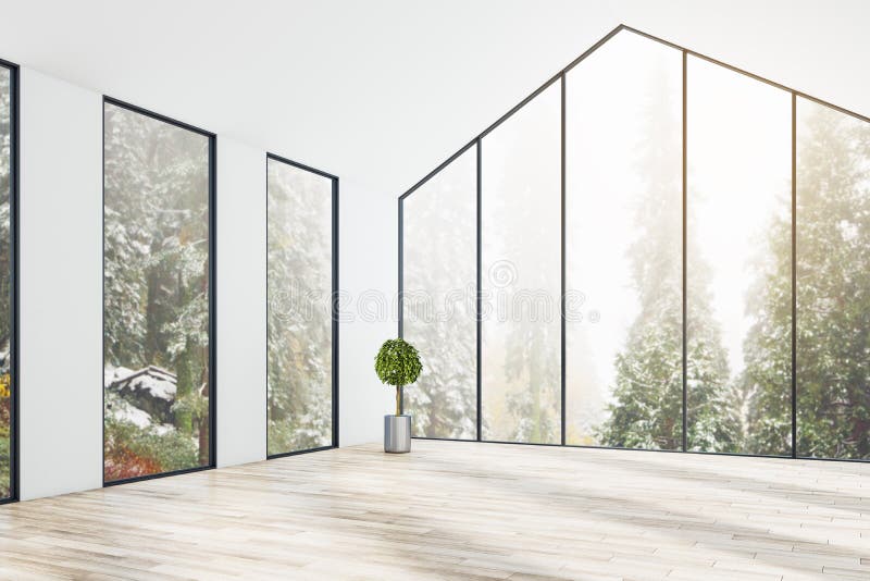 Cozy Forest View from Big Windows in Empty Sunny Room with Tree in the ...