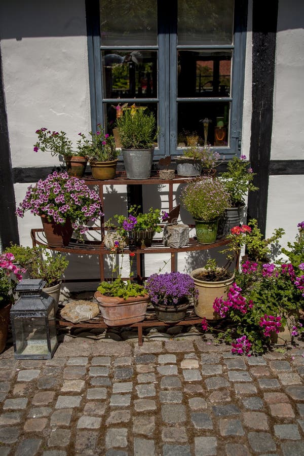 Cozy garden with flowers stock photo. Image of samsoe - 75180088