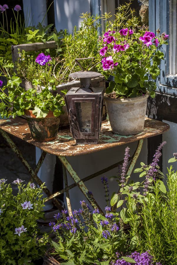 Cozy garden with flowers stock photo. Image of timbered - 75180190