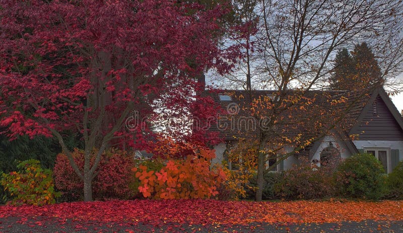 Cozy House in Fall stock photo. Image of warm, background - 164776814