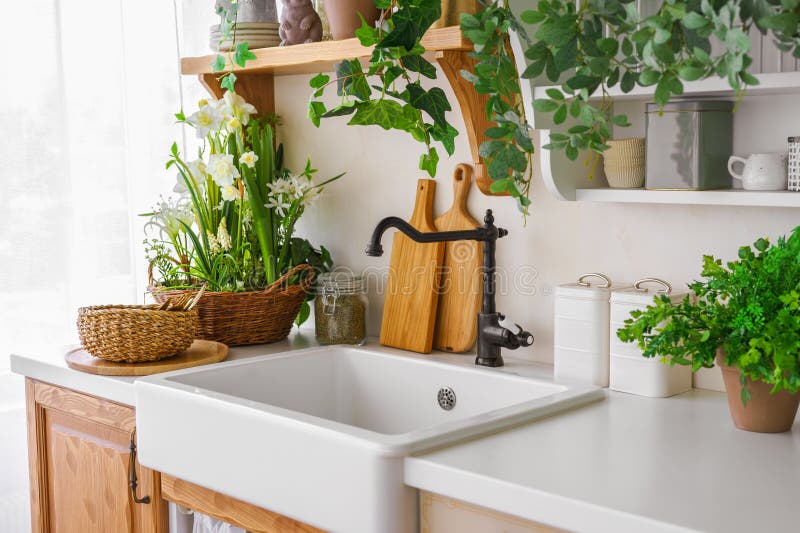 Cozy Kitchen Corner with Fresh Plants and a Rustic Sink for daily Meal ...
