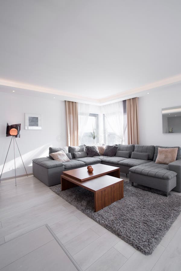 Modern Living Room Vertical Stock Photo - Image of hardwood, streamline ...