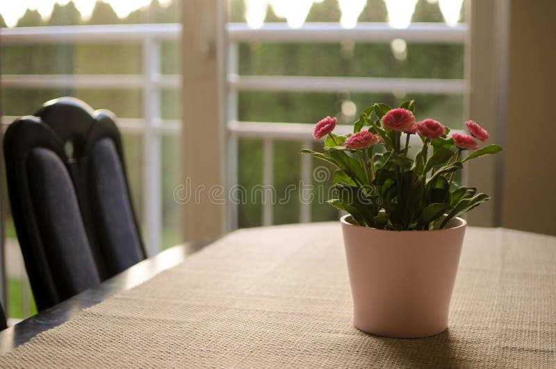 Cozy Modern Minimalism Interior. Flowers Pot on the Table Stock Photo ...