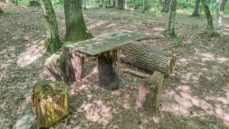 A Cozy Place To Relax in the Forest for Picnics and Camping Stock Photo ...