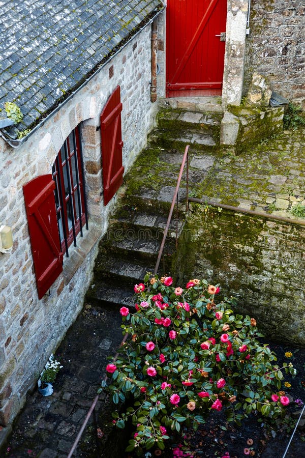 A Cozy Yard with a Rose Tree Stock Photo - Image of grass, building ...