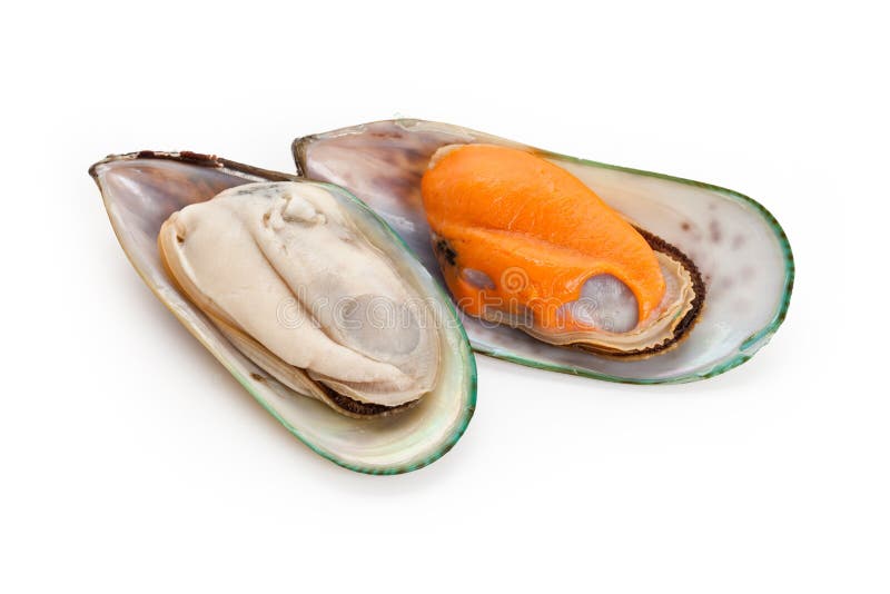 Cozza immagine stock. Immagine di coperture, bivalve - 37406789