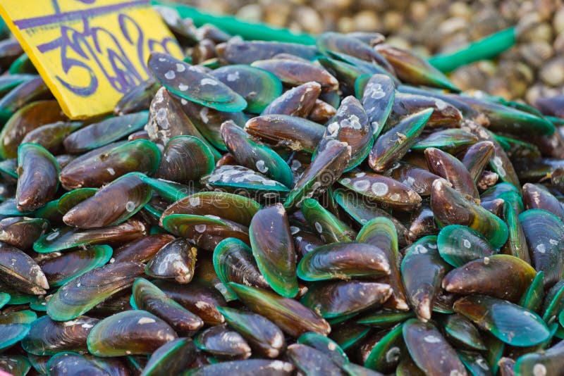 Cozze Del Mare Nel Mercato Tailandese Fotografia Stock - Immagine di ...