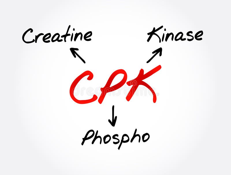 Cpk Creatine Stock Illustrations – 15 Cpk Creatine Stock Illustrations ...
