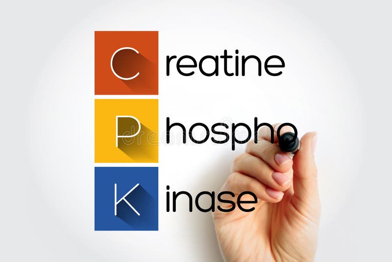 CPK Creatine Phosphokinase - Enzyme Expressed by Various Tissues and ...