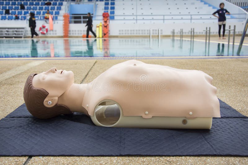 Cpr dummy training stock image. Image of education, model - 127176867