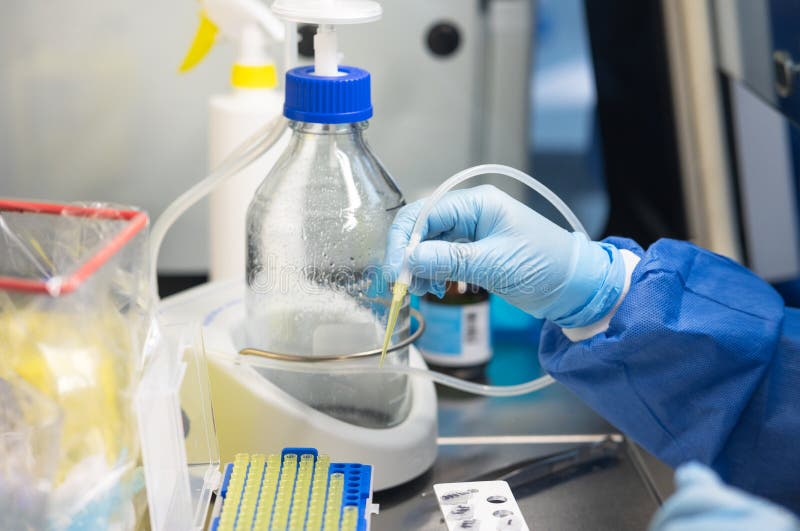 Cpr Tests Stock Photos - Free & Royalty-Free Stock Photos from Dreamstime