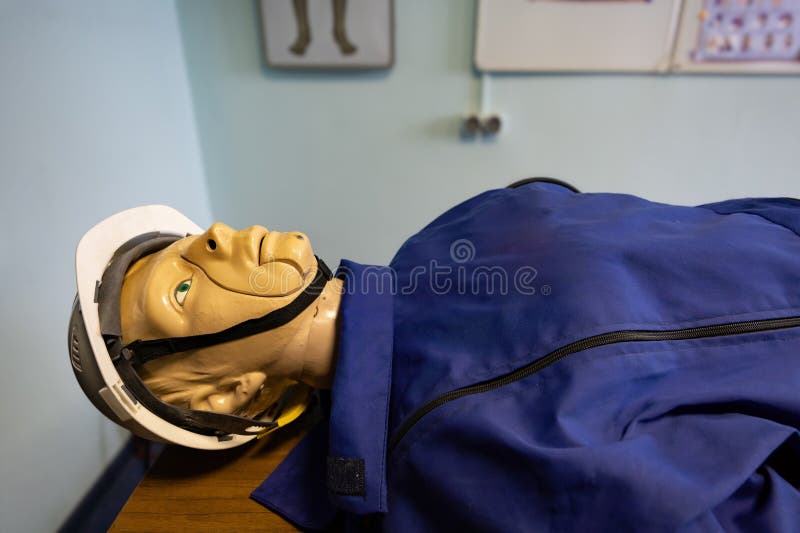 CPR Training Mannequin in Medical Class Stock Photo - Image of ...