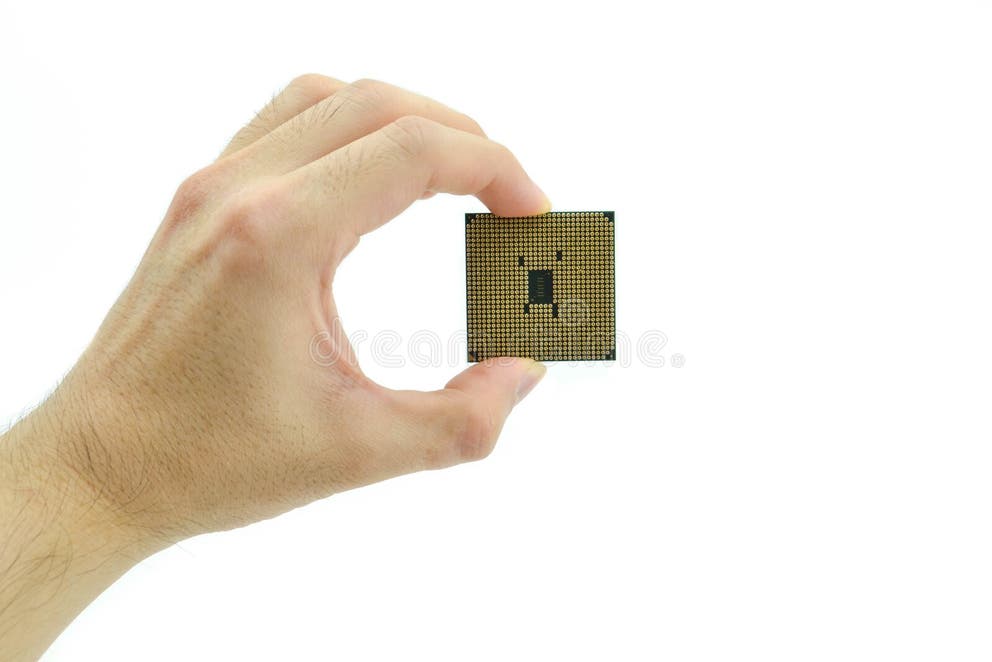 CPU Chip in Hand White Isolate Stock Image - Image of alone, flower ...
