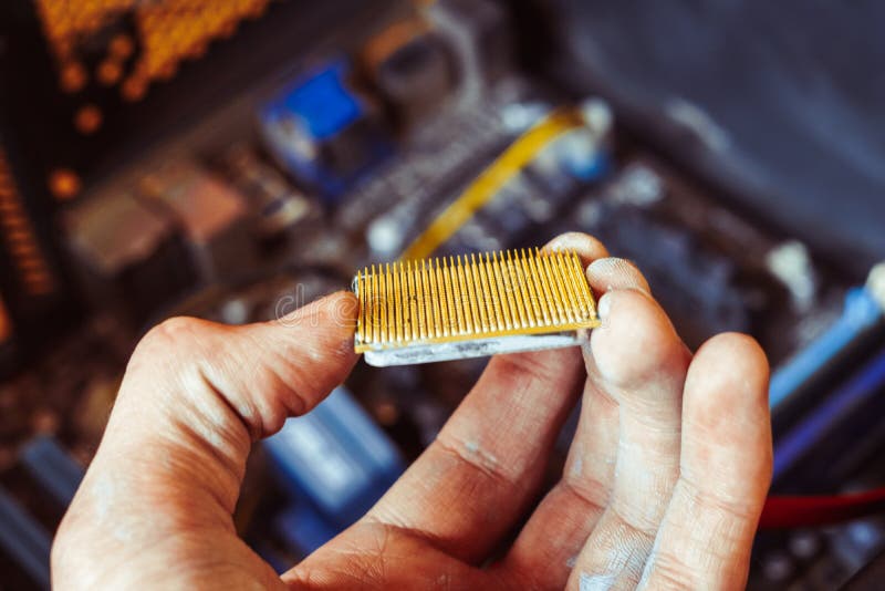 The CPU in the hand stock photo. Image of intelligence - 110453224