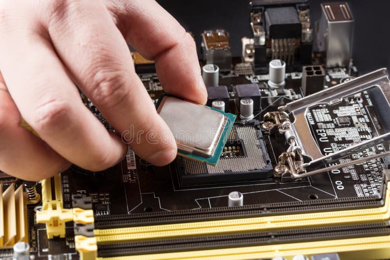 CPU in Hand before Installation into the Motherboard. Stock Photo ...