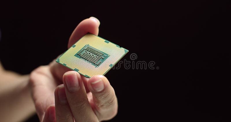 CPU in Hands of a Technician. the Processor is Being Examined for ...