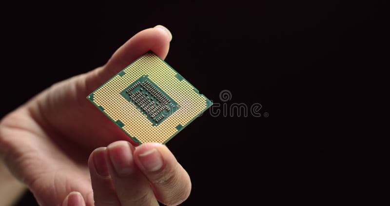 CPU in Hands of a Technician. the Processor is Being Examined for ...