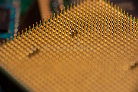 CPU Pin Grid Array with Golden Pins Stock Image - Image of processing ...