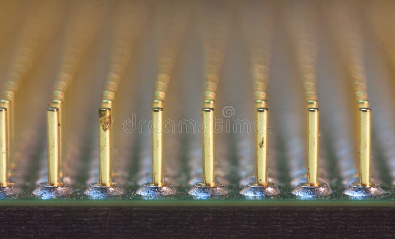 Cpu pins stock photo. Image of accuracy, horizontal, selective - 16843424