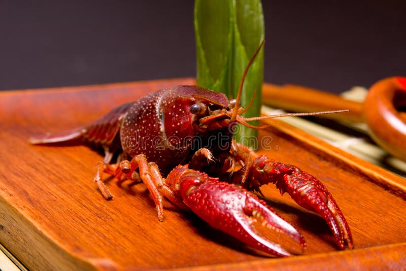 Crab Picture. Image: 5358199