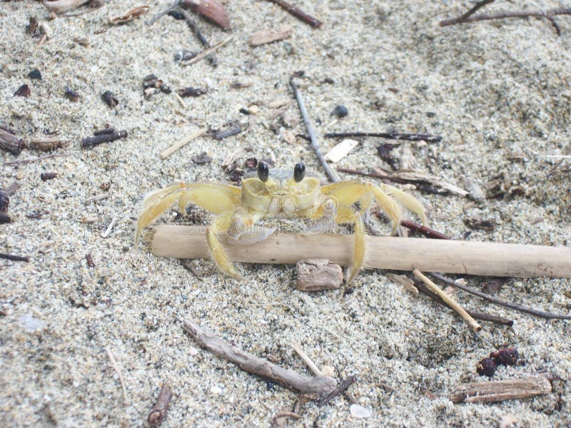 Turiamo Beach Stock Photos - Free & Royalty-Free Stock Photos from ...