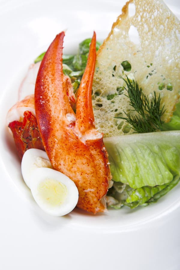 Crab claw stock photo. Image of claws, snap, nibble, crunch - 1898790