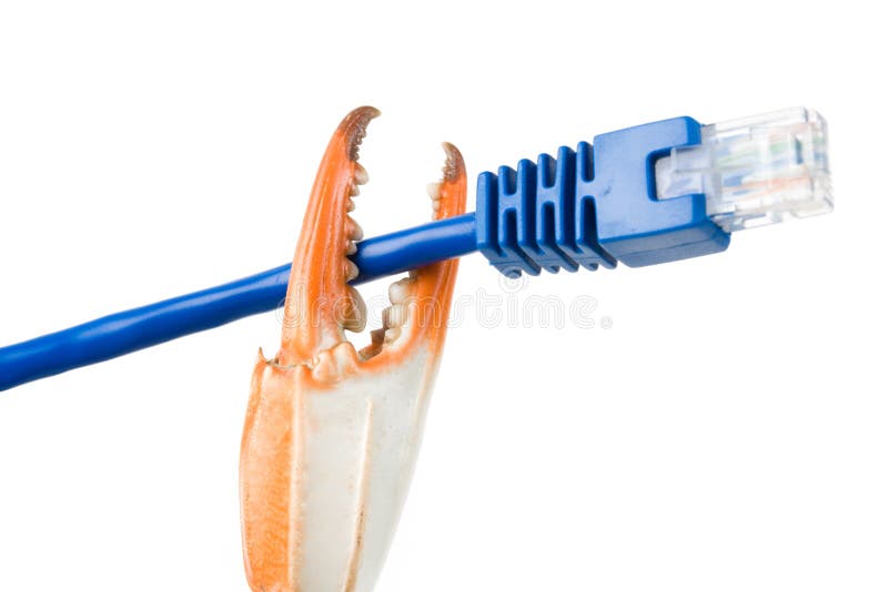 Crab Claw and Network Cable Stock Photo - Image of cutting, bite: 128867536