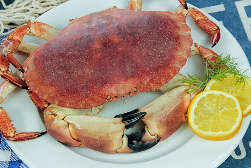 Crab cooked in a plate stock photo. Image of crab, plate - 194627046