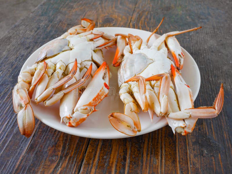Raw crab stock photo. Image of gourmet, green, meal - 102960150