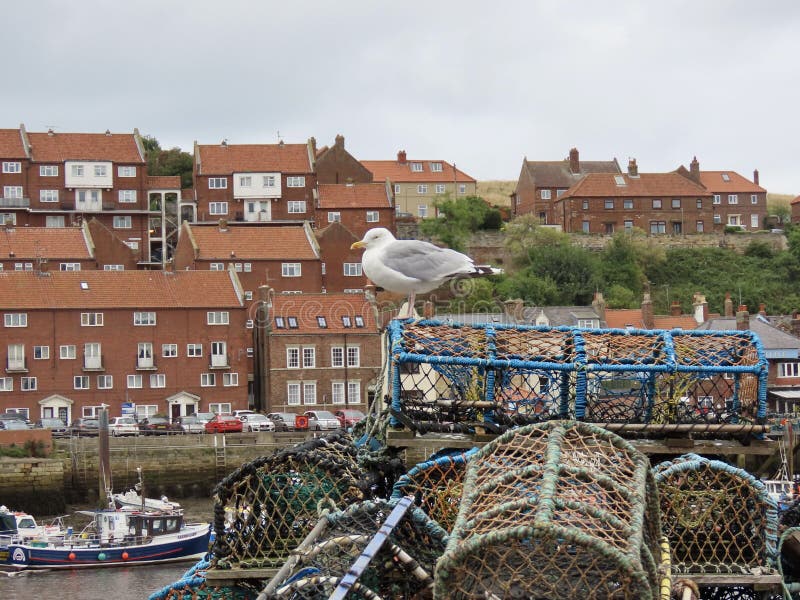 Crab crates in Whitby stock image. Image of herring - 237163963
