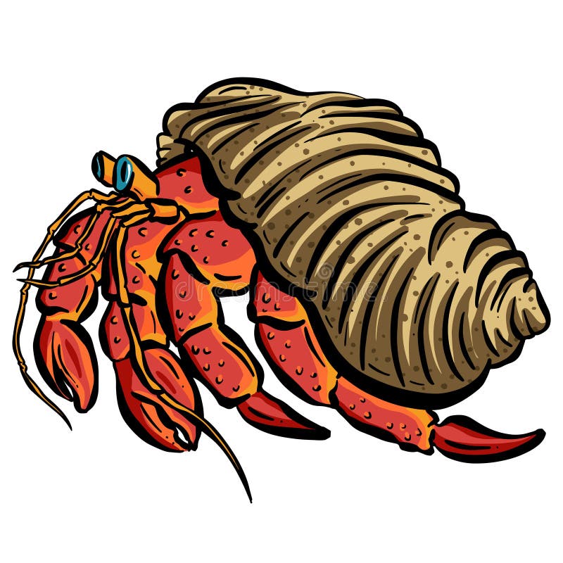 Crab Crustacean Shell Vector Cartoon Illustration Stock Illustration ... Crab Crustacean Shell Vector Cartoon Illustration Stock Illustration ...