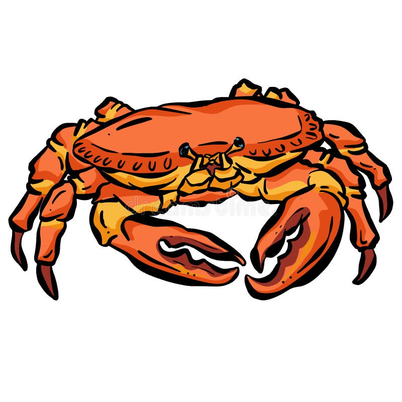 Crab Crustacean Shell Vector Cartoon Illustration Shrimp Shellfish ...