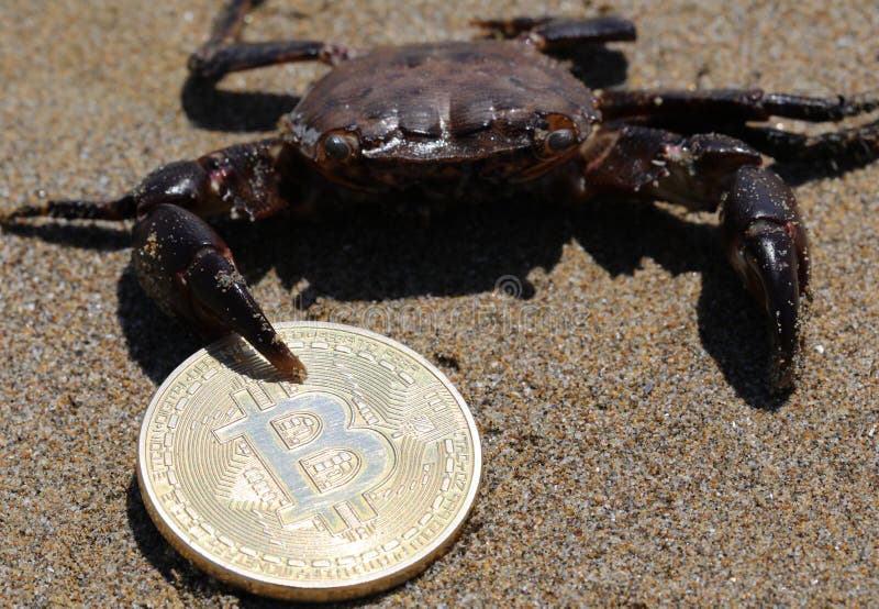Crab Grabbing the Golden Bitcoin Coin with the Claw Stock Photo - Image ...