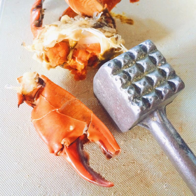 Crab with hammer stock photo. Image of seafood, hammer - 61799186