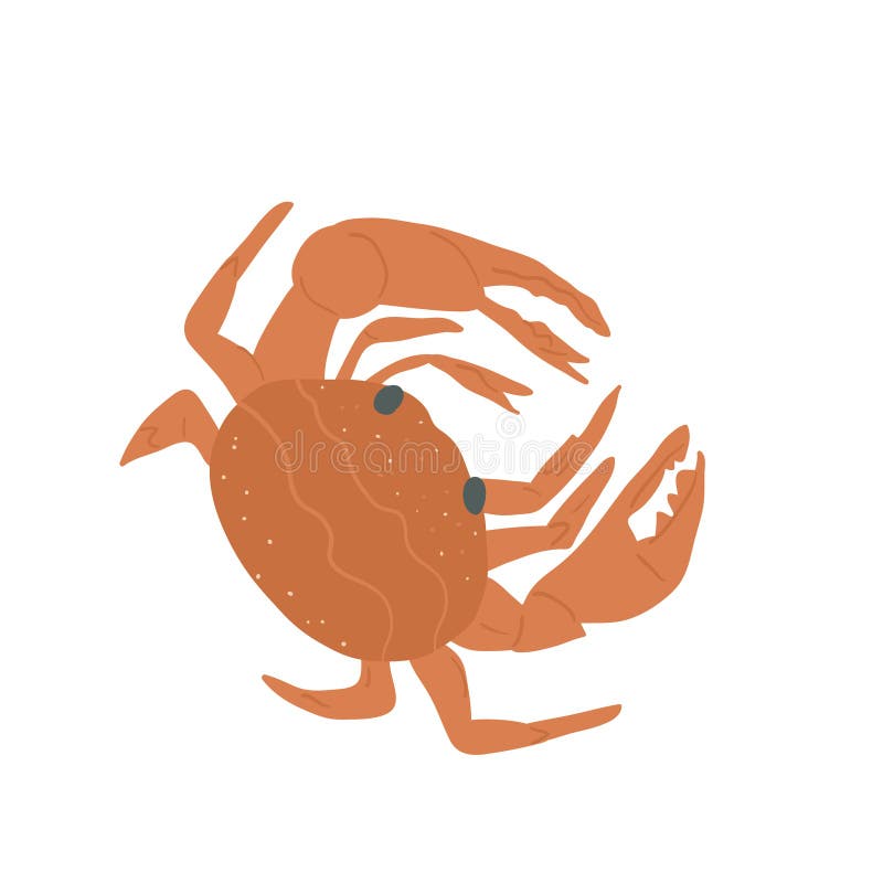 Crustacean Vector Crab Prawns Ocean Lobster and Crawfish or Crayfish ...